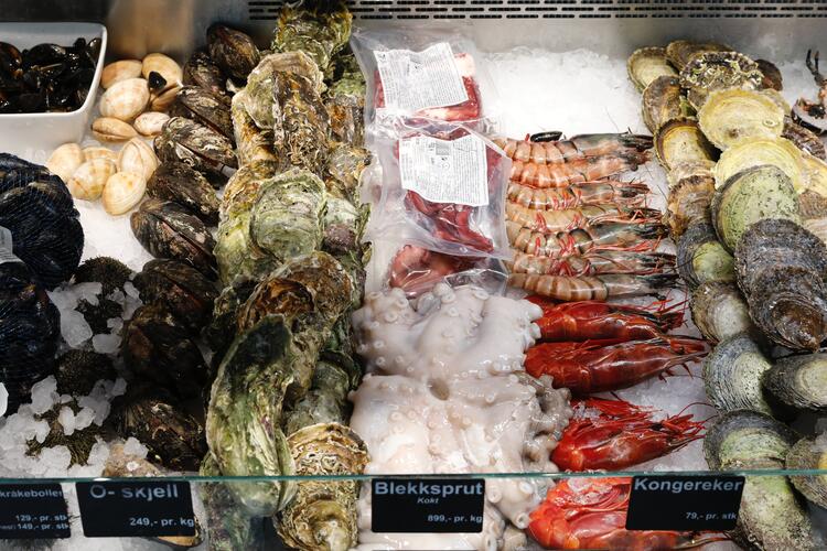 Diferentes tipos de mariscos para degustar en verano | TheFork blog